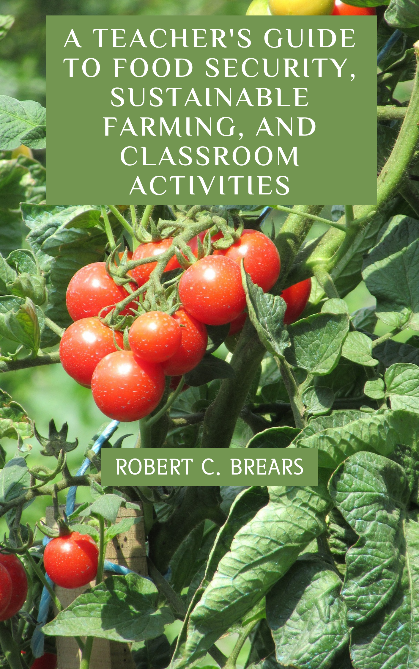 A Teacher’s Guide to Food Security, Sustainable Farming, and Classroom ...