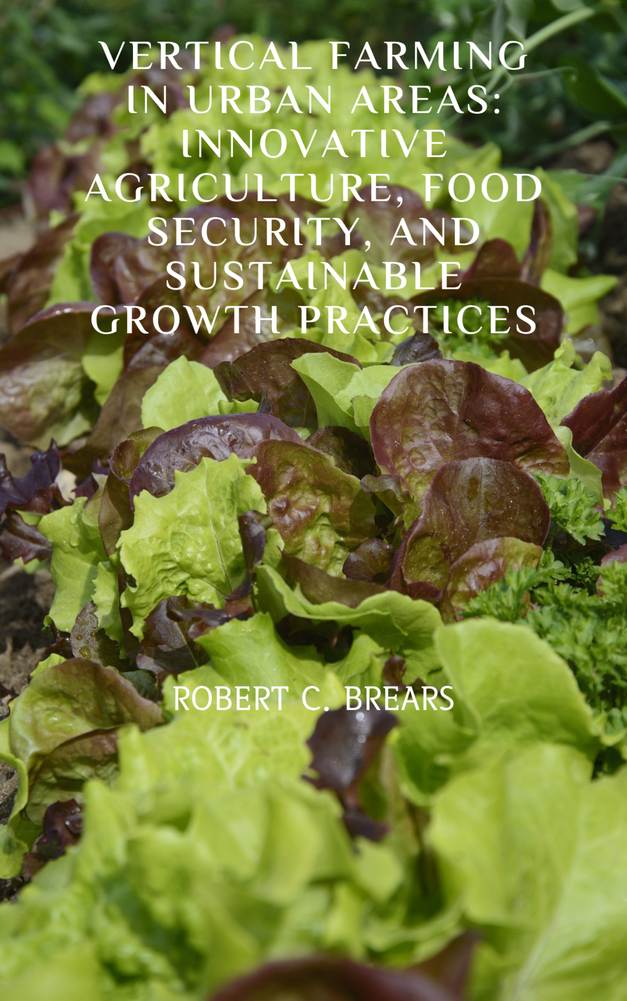 Vertical Farming in Urban Areas: Innovative Agriculture, Food Security ...
