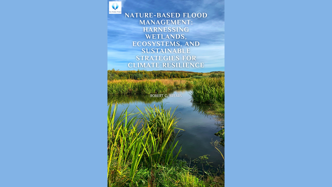 Nature-Based Flood Management: Harnessing Wetlands, Ecosystems, and ...