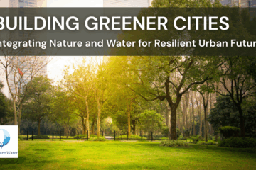 Bioswales: Practical Nature-Based Solutions for Stormwater Management ...